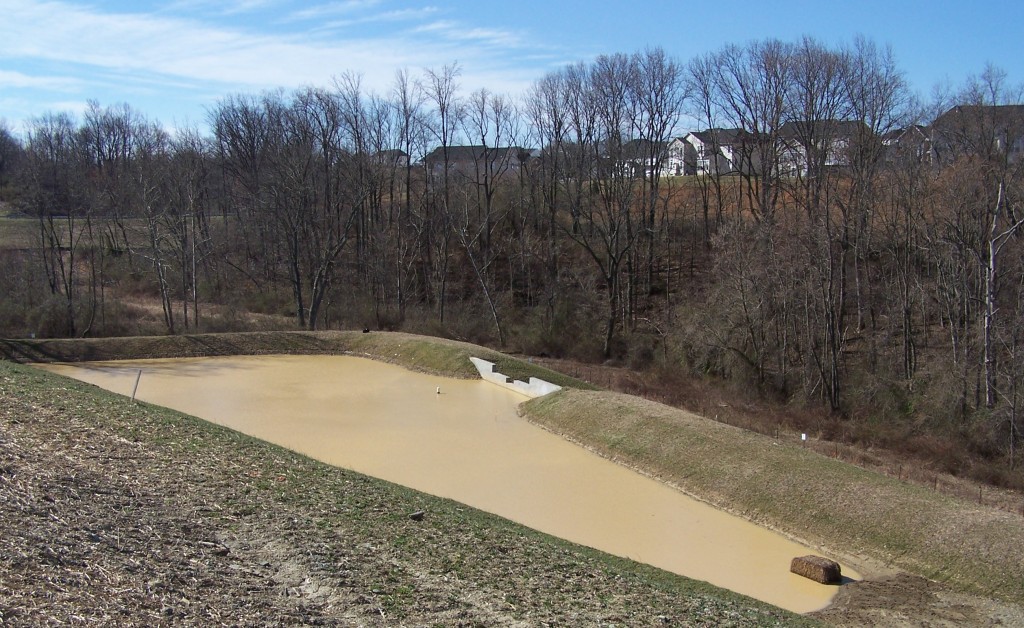 SWM Pond 4 028 - CLSI